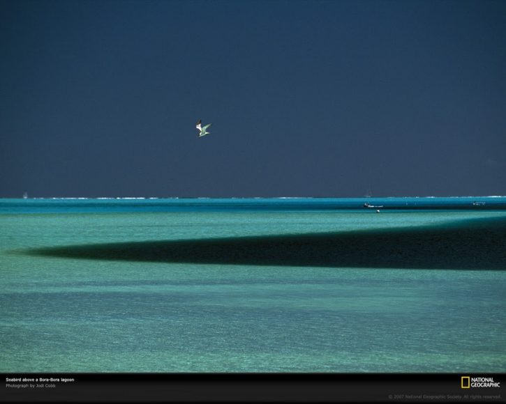 50 Cool National Geographic Wallpaper Pictures ~ Cool Things Collection ...