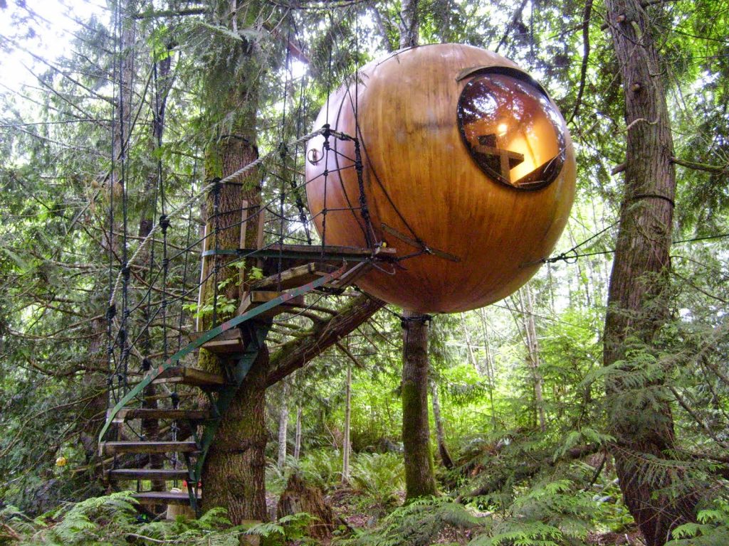 Cool Treehouses from around the World ~ Cool Things Collection ...